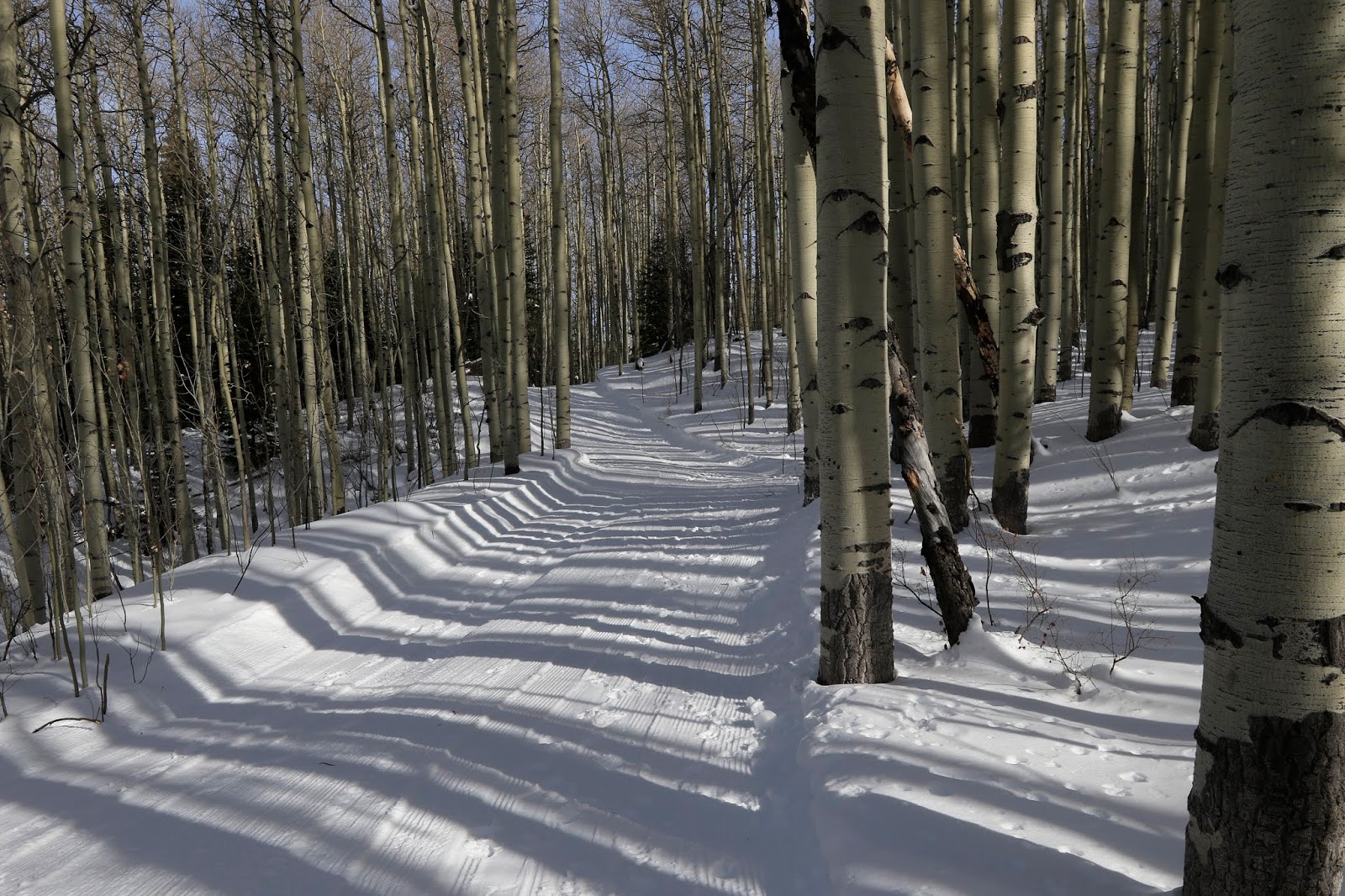 gjhikes.com: Babbish Express