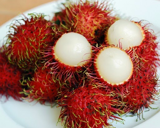 Manfaat Kulit Rambutan Bagi Kesehatan | UKM KSR PMI ITS SURABAYA