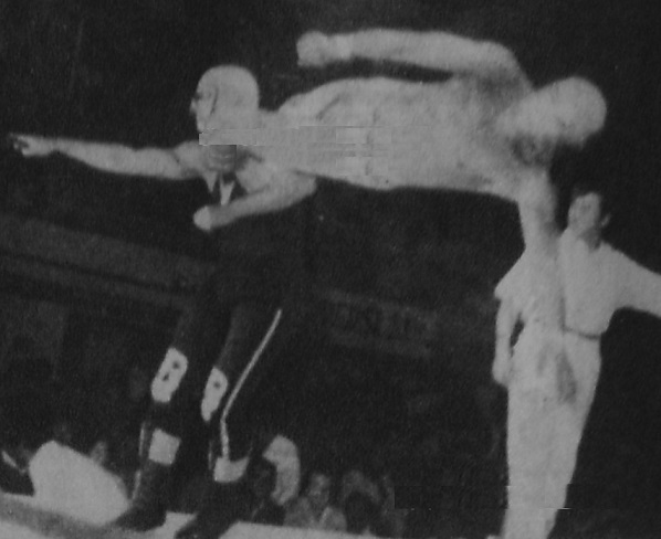 ¿QUIEN ES QUIEN? LUCHA LIBRE: BLEDA