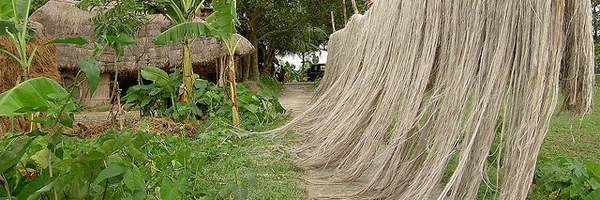 CARTERAS DE YUTE: LA FIBRA NATURAL: YUTE