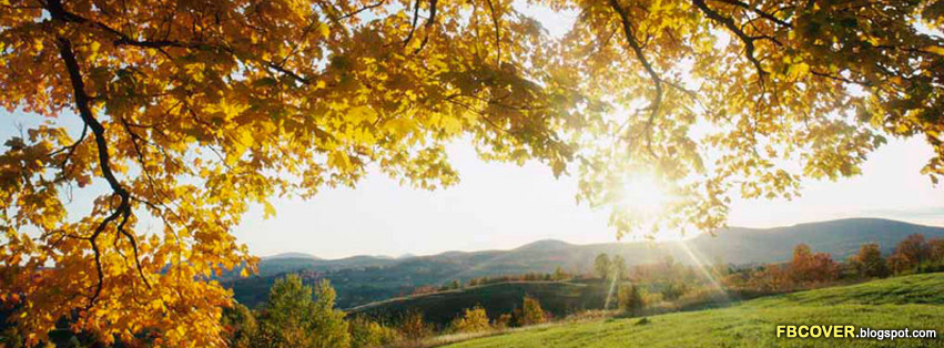 Autumn Trees Dried Leaves - Season FB Cover | FB Cover - Unique Covers ...