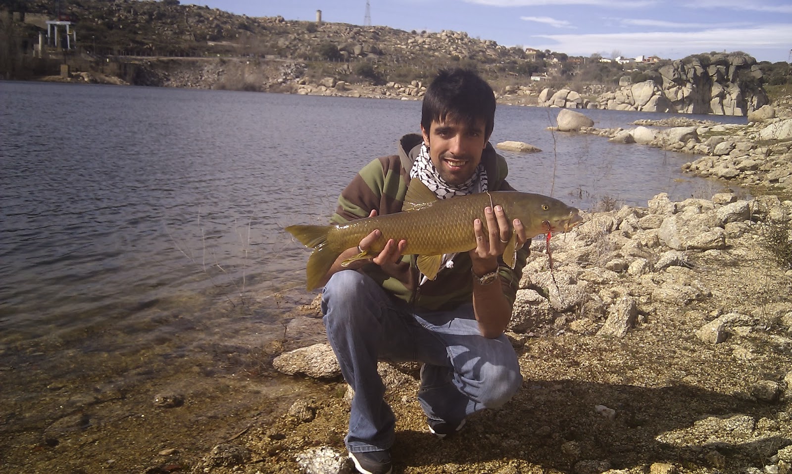 Forest Forestal: Barbo común