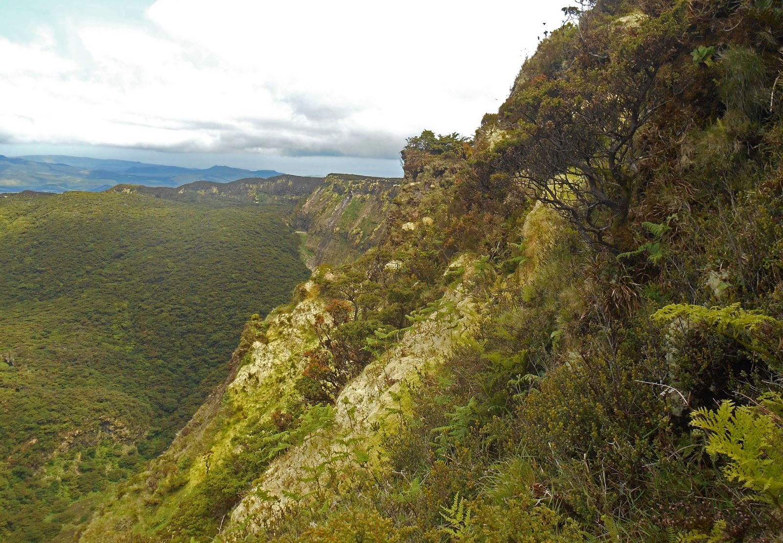 Non-Stop Birding: Azores Natural History Trip 2015, Days five and six ...