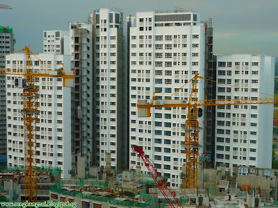 Zai@Sengkang: Fernvale Ridge Snapshot (Completed)