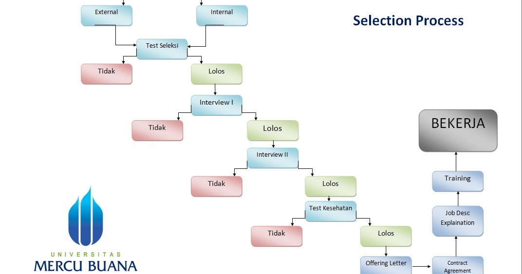 MSDM123.com: Selection Process