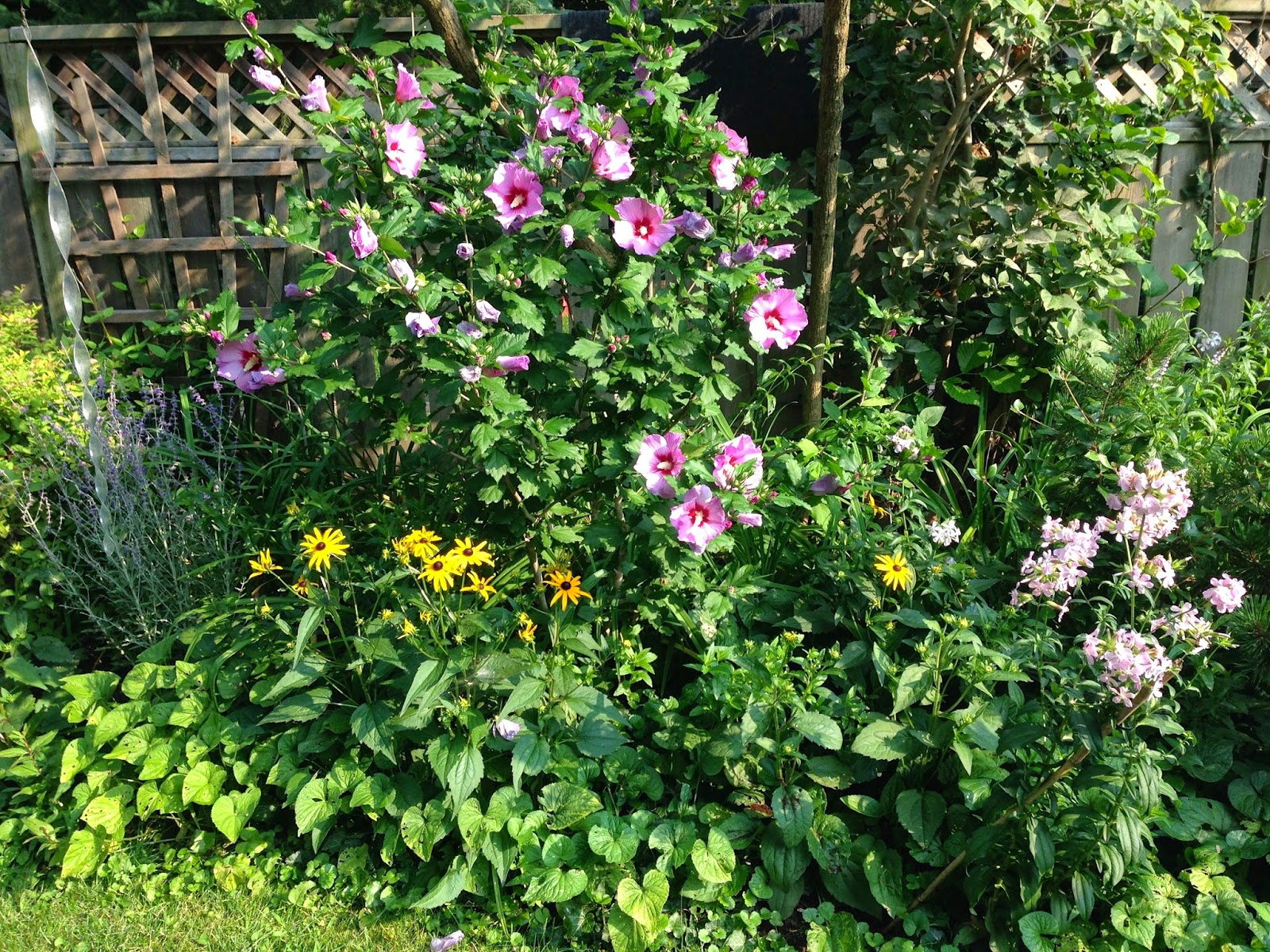 Trinity Arsenault Trinity Arsenault - Beth Kaplan