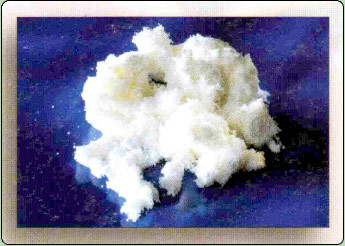 The Little Prepper Doc: Mar 22, 2011