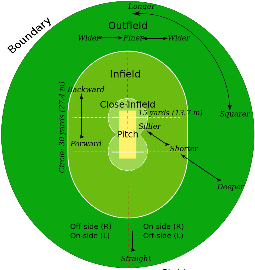 Cricket