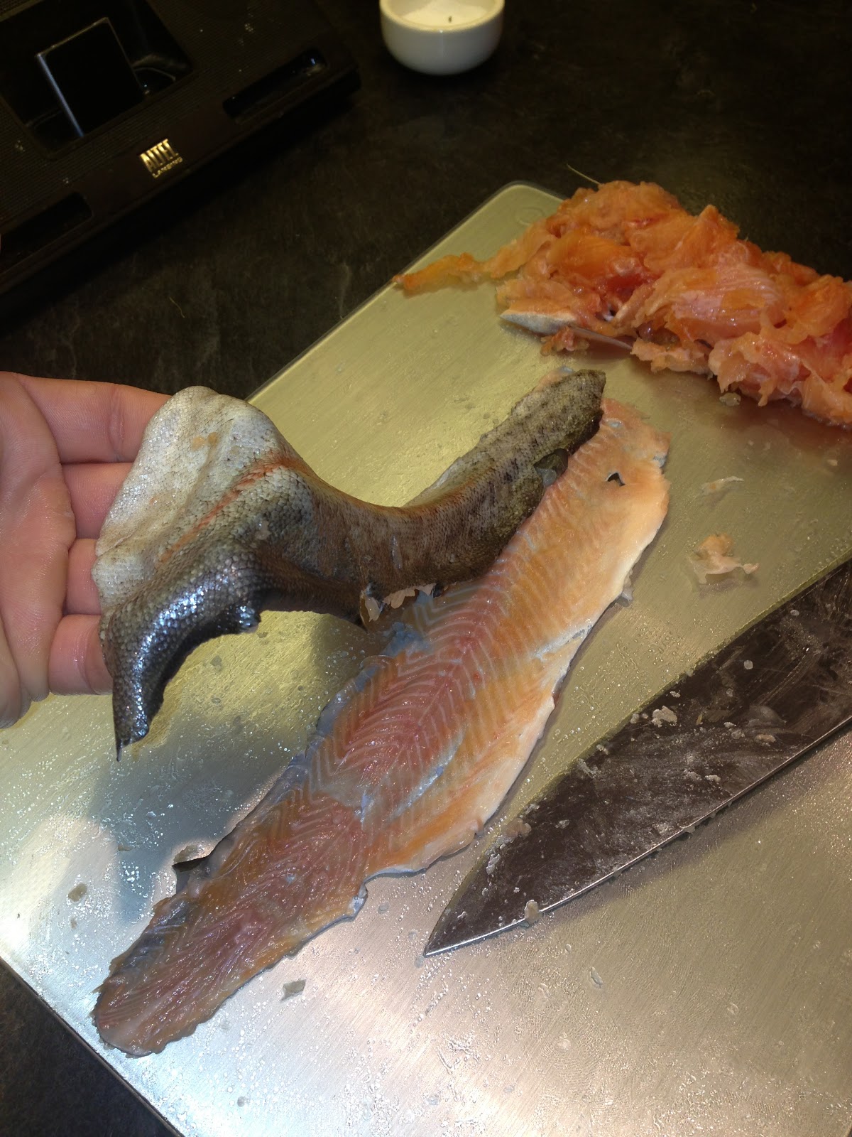 No Direction: Fish Skin Tanning Experiment