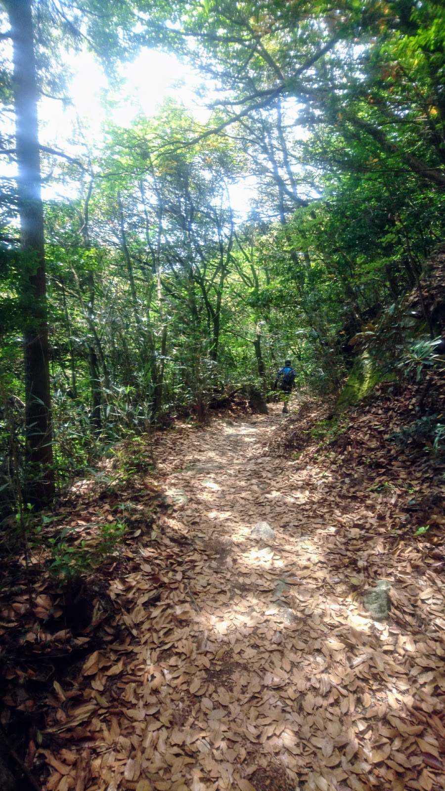 ジェイ山 - Kyushu Hiking: Mt. Homan (Homanzan 宝満山) 2018.5.4