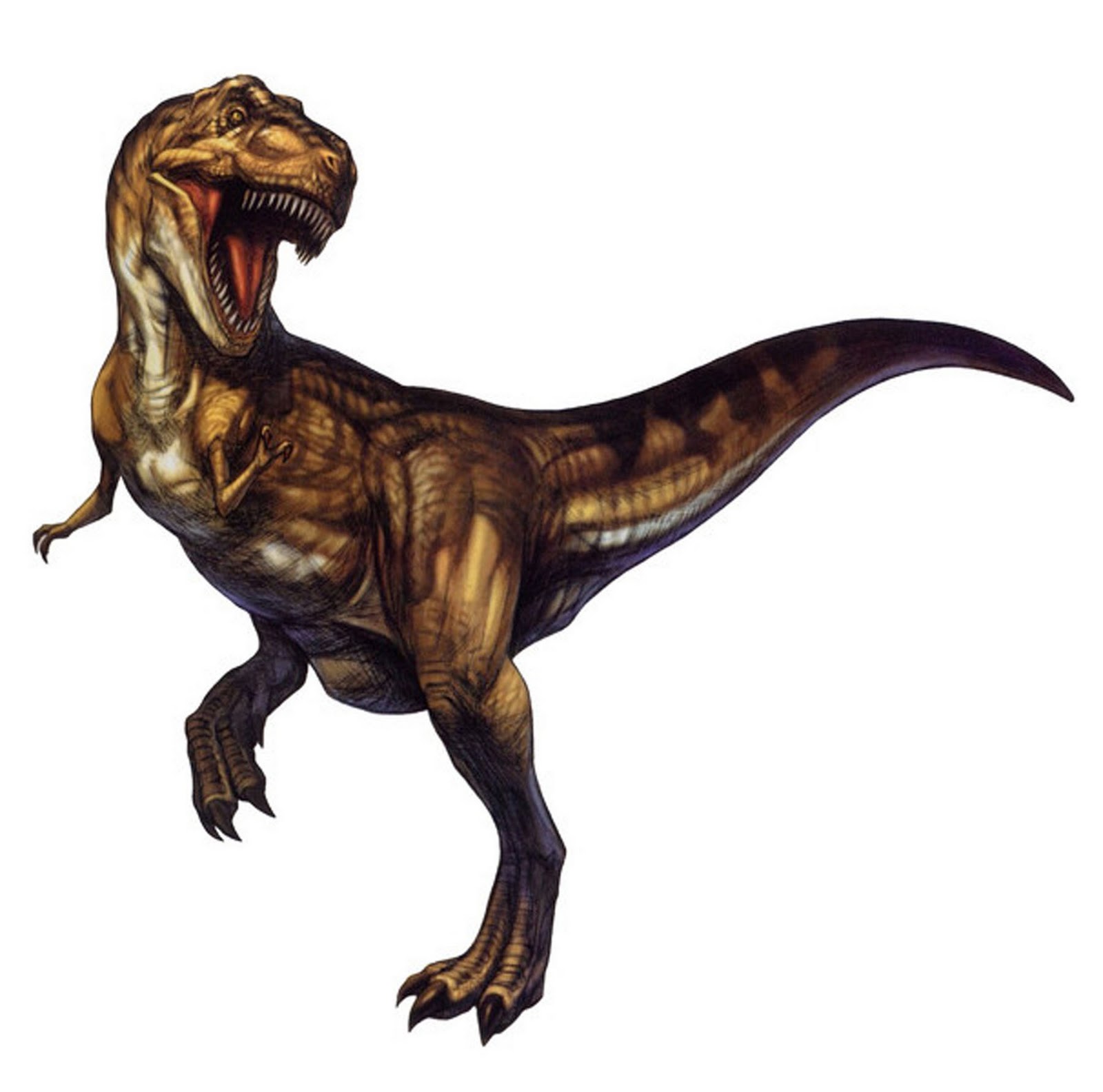Tiranossauro Rex