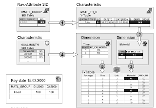 SAP Business Warehouse Infoobject Continued - SAP ABAP