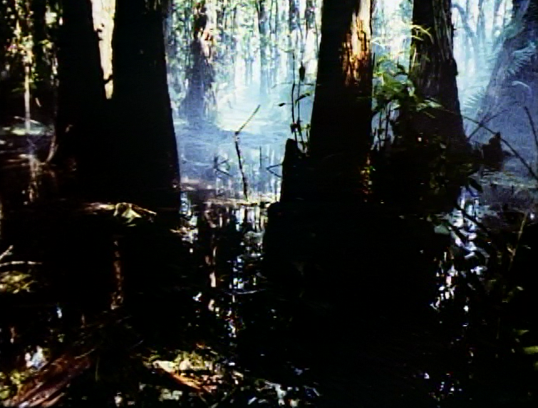 John Kenneth Muir's Reflections on Cult Movies and Classic TV: Swamp ...