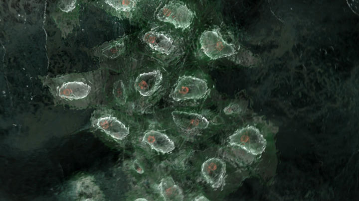 Misteri: Moon Bugs, Benarkah Ada Kehidupan Asing di Bulan? - Earth ...