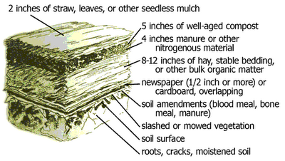 Soil Sista: Happily building up our Soil through Sheet Mulching & the ...