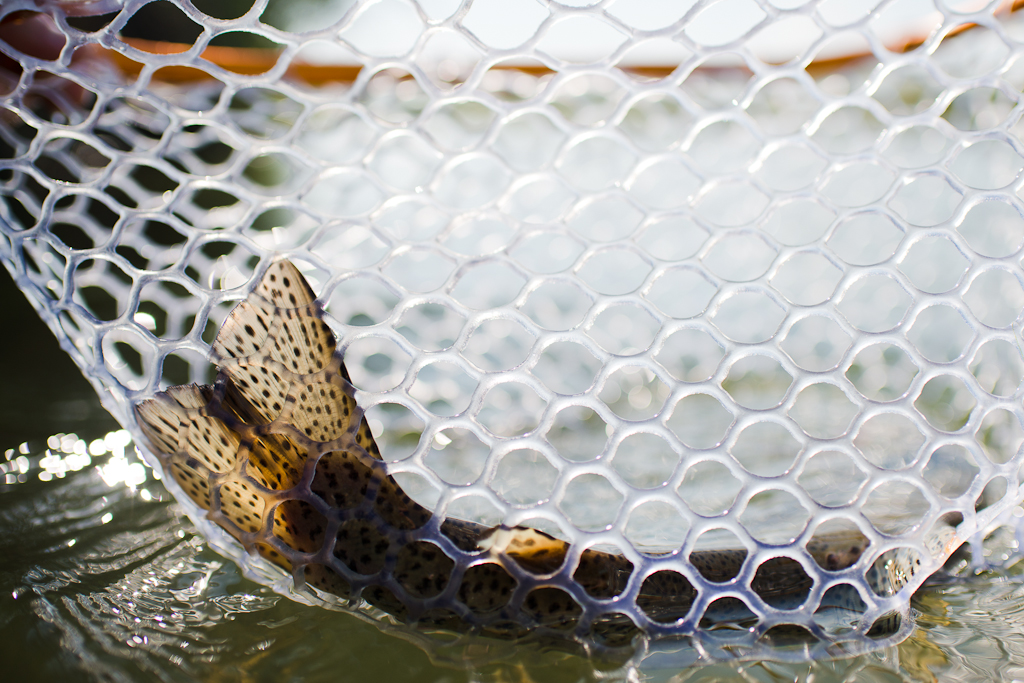 The Far Bank: Rising Brookie Net - The Perfect Wading Net