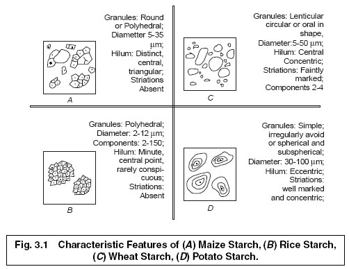 Starch-Corn starch, Potato Starch, Rice Starch, Wheat Starch, Amylum