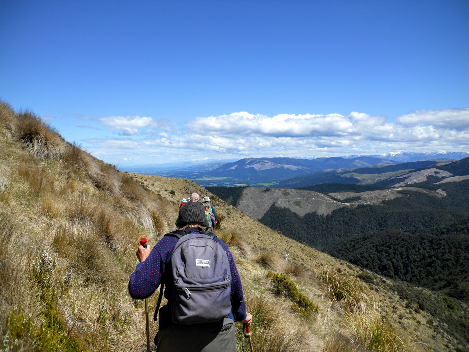 Tramping in the New Zealand backcountry: NZ Bush Adventures: Mt Grey ...