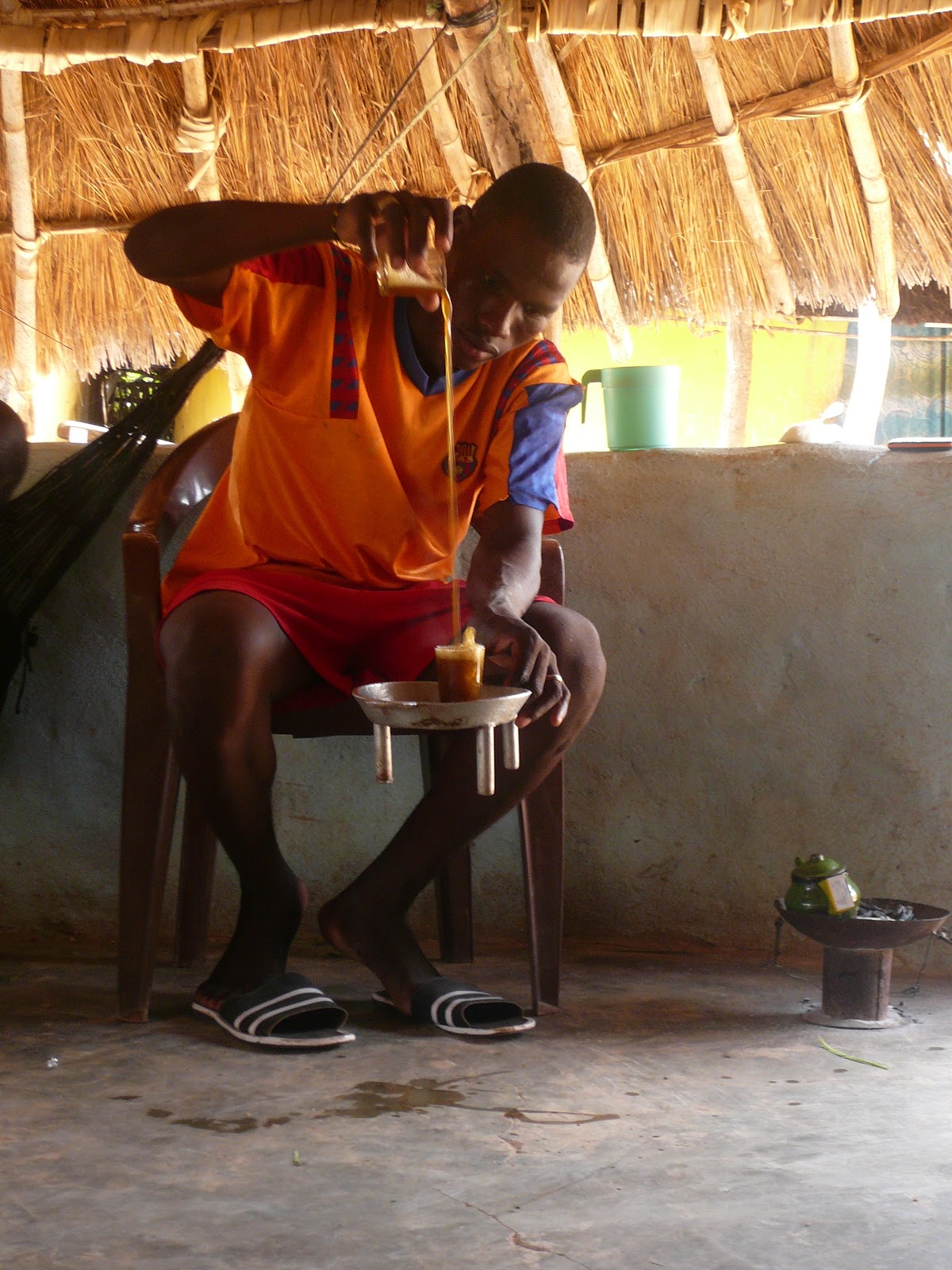 This Senegalese Life: Americans in Saraya