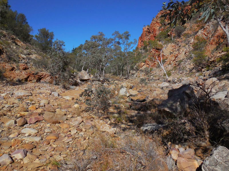The Conspiracy Times: Larapinta Track, Section 11: Redbank Gorge to ...