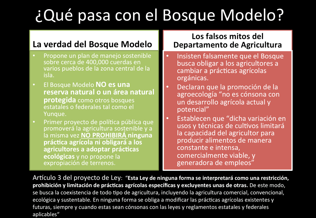 Blog de Bioseguridad / Biosafety Blog: La realidad del Bosque Modelo