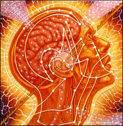 EL INTELECTUALISMO Y EL APRIORISMO