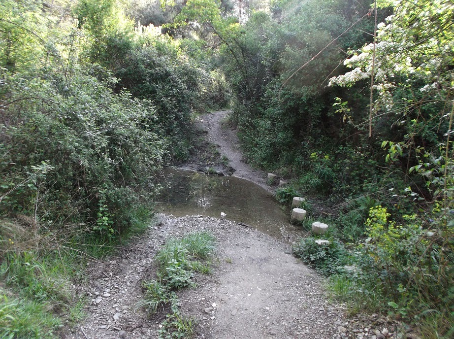 Rutes a peu de petit desnivell prop de Girona: 41. La riera del Celrè ...