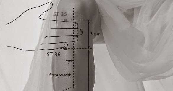 Longevity Lifestyle Plan: Acupoint Stomach 36 and longevity