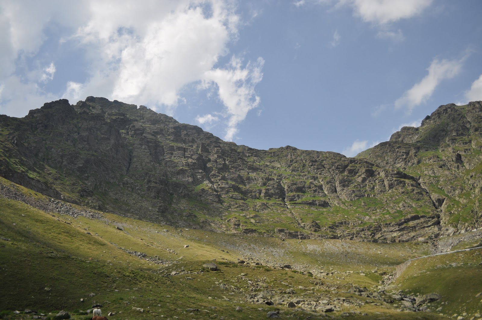 Poze, Natura, Animale, Plante, Romania, Valcea, Ionut Ungureanu
