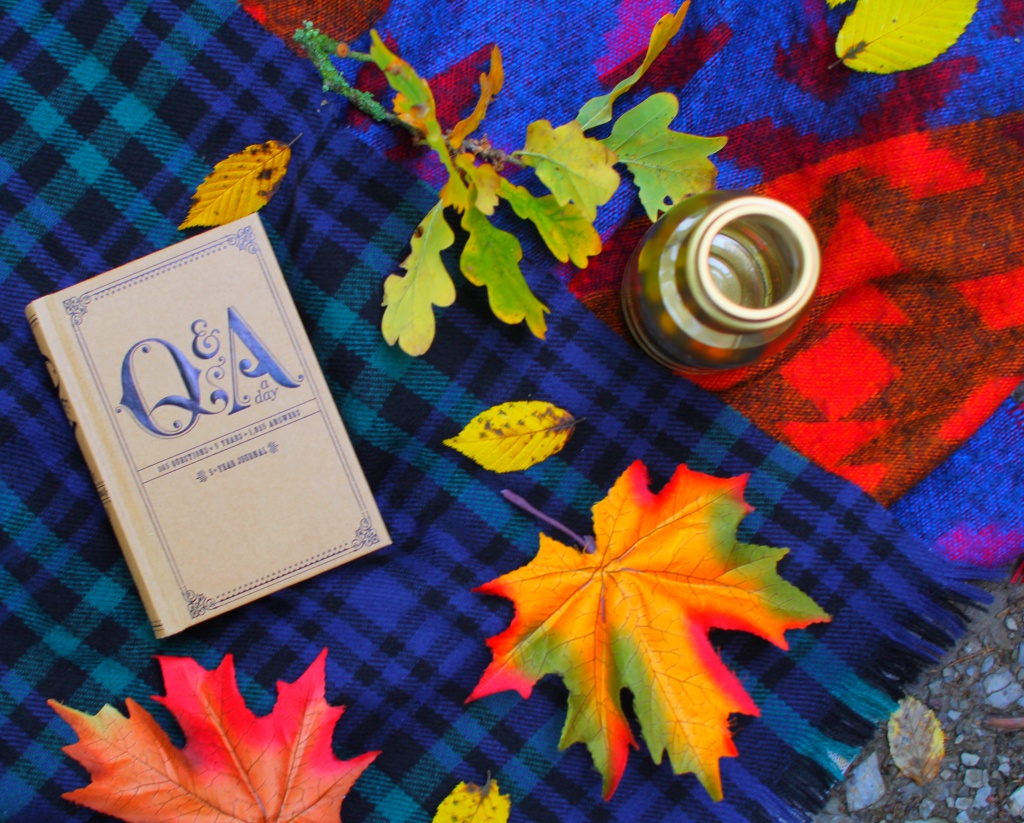 Fetching: What to do in Fall {Tumblr Activities}