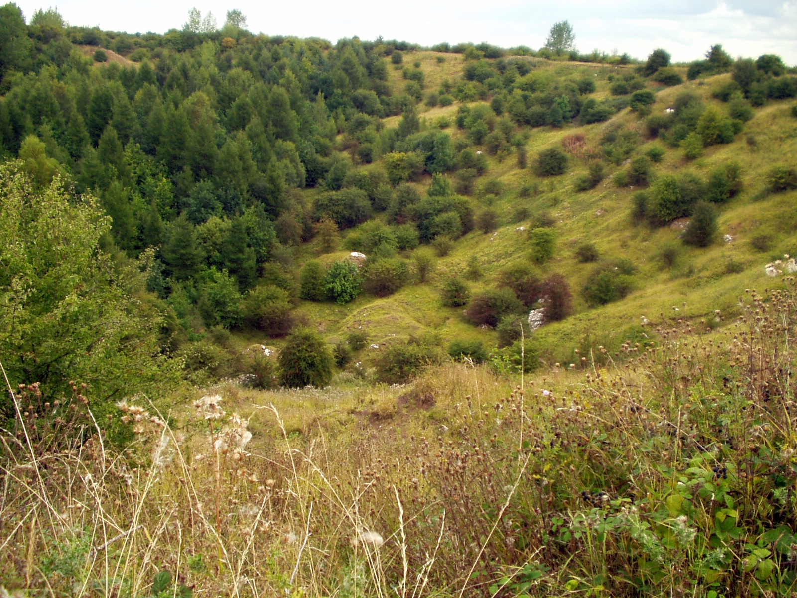 Roy's blog: WORLD WAR TWO