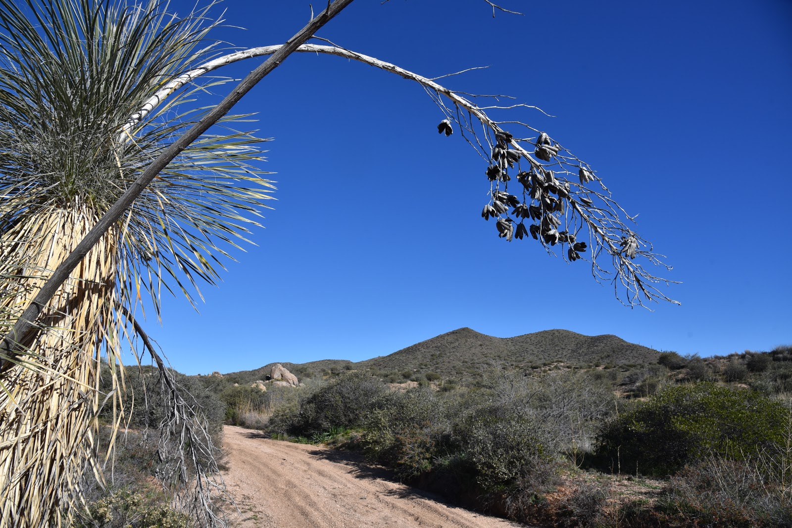 Arizona Hiking: Indian Spring Wash