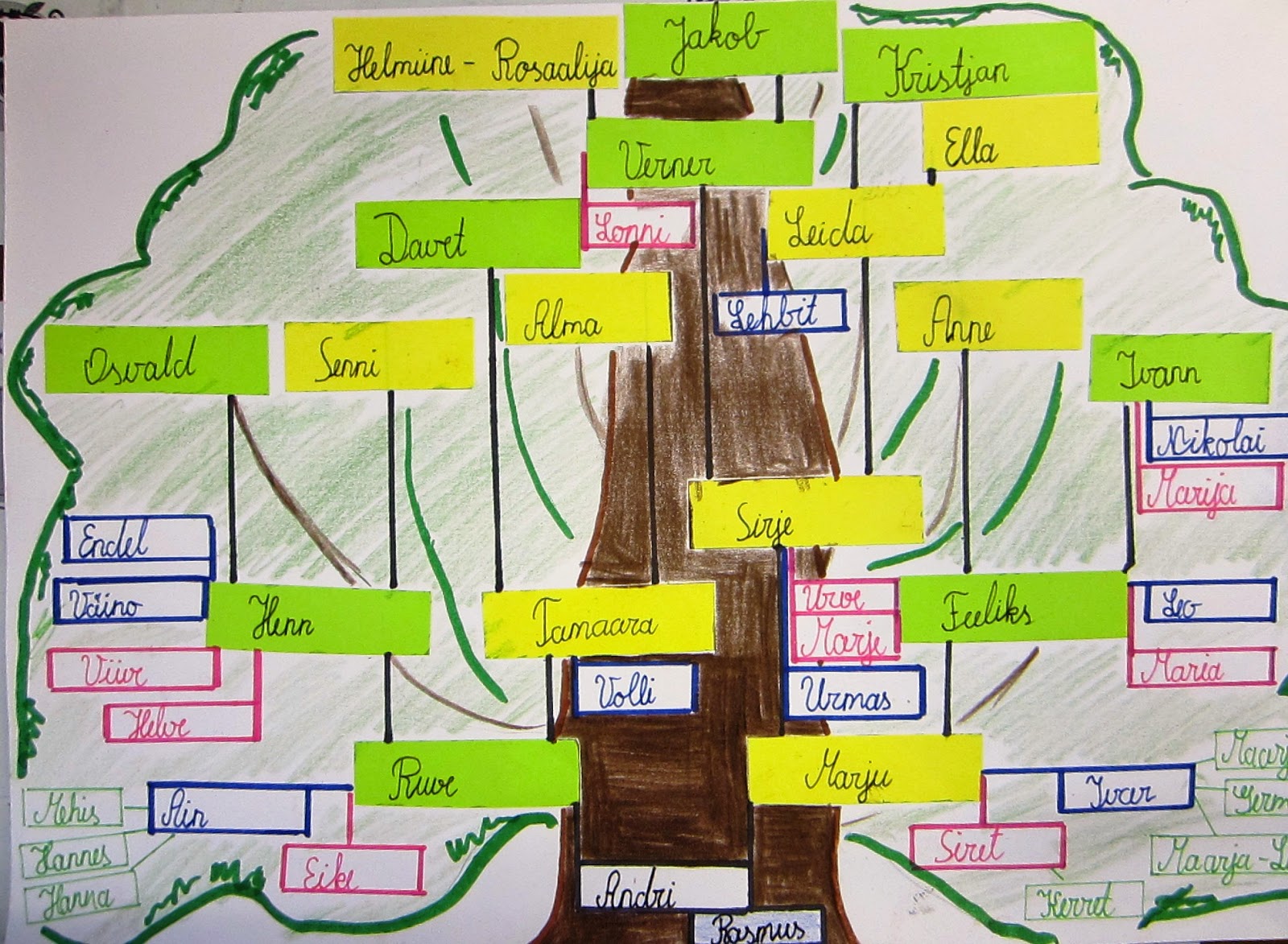 KOOLIJÜTSID: Meie sugupuud