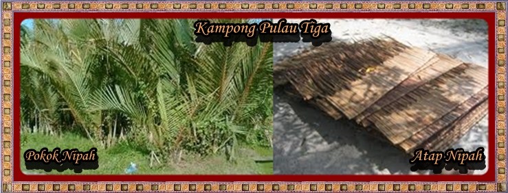 Kampong Pulau Tiga: Nastalgia Pulau Tiga