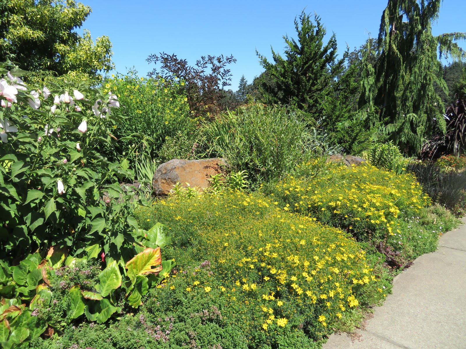 Let's Go! The Oregon Garden