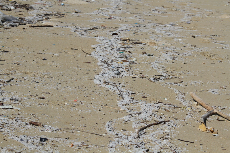 Hong Kong Coast Watch: Plastic Nurdles - Beach cleanup kit