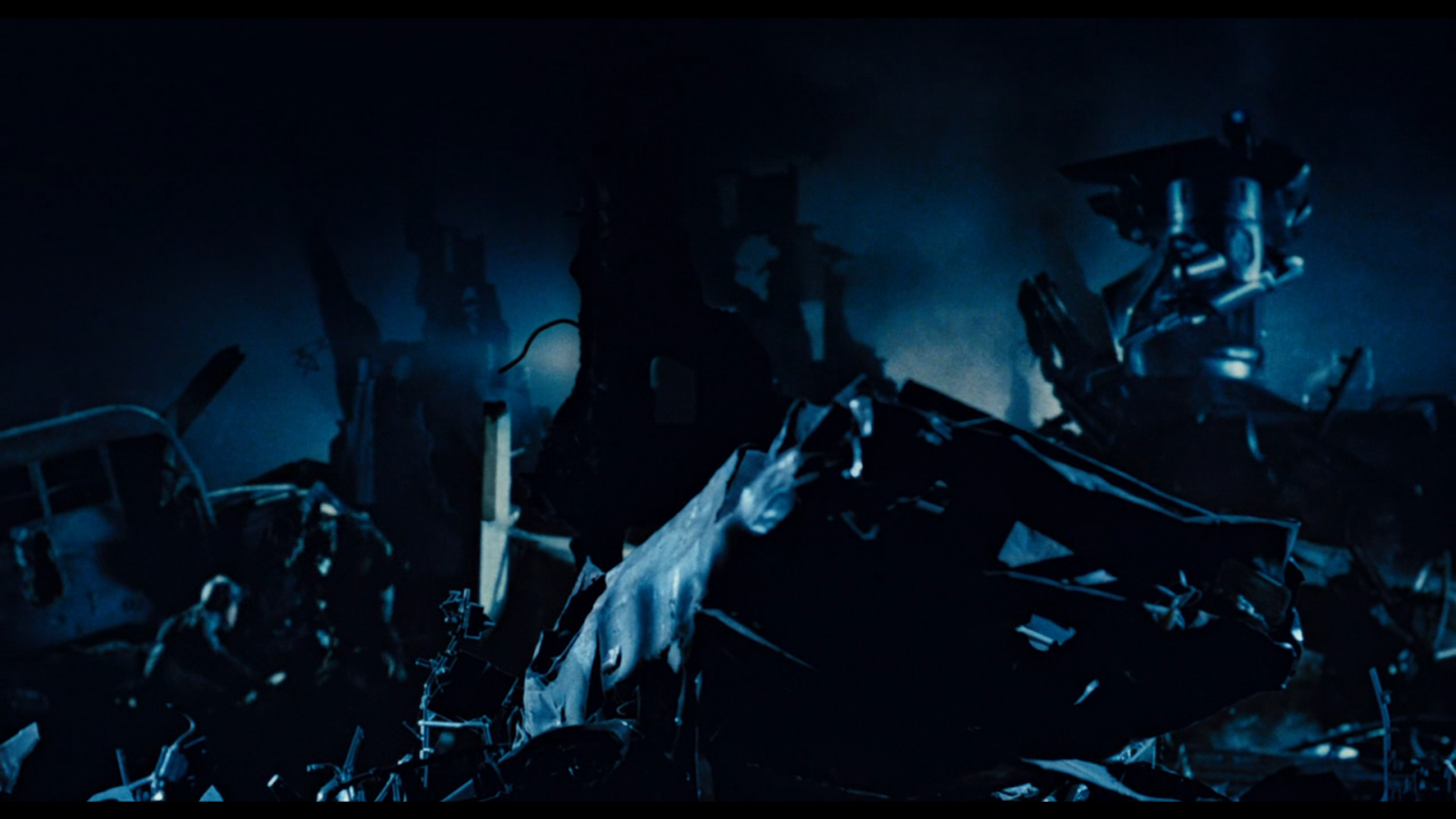 Terminator Future War