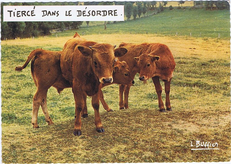 CAPDZ collections: Louis BUFFIER, photographe humoriste