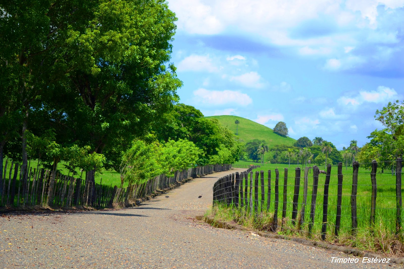 En las Lomas | Con mi Nokia en la mano.