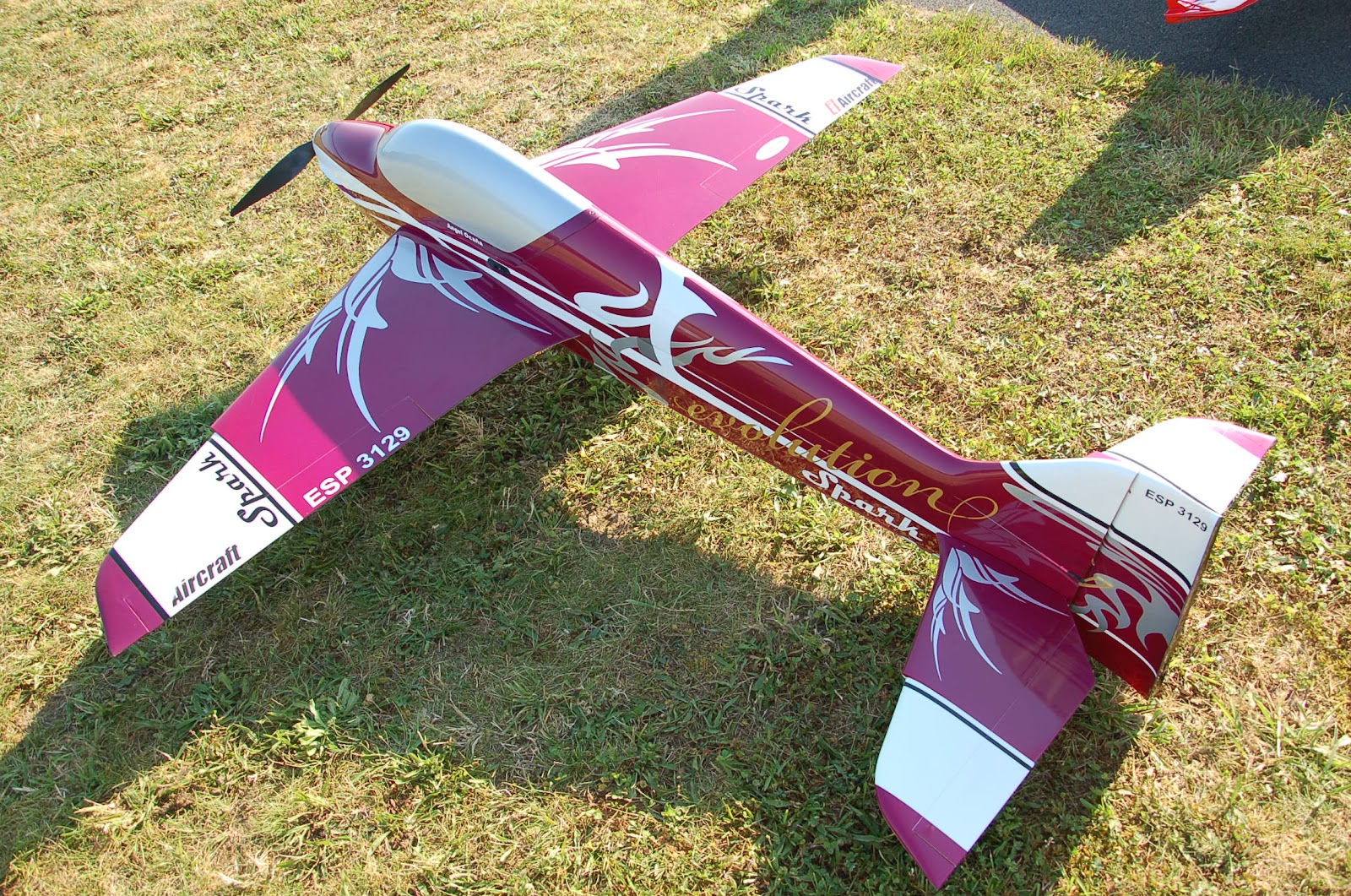 Reportajes F3A - Aeromodelismo y radiocontrol: FAI European ...