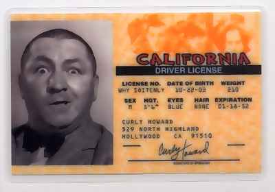 The Merry Catholic: D.M.V. Nightmare Turns to Dream