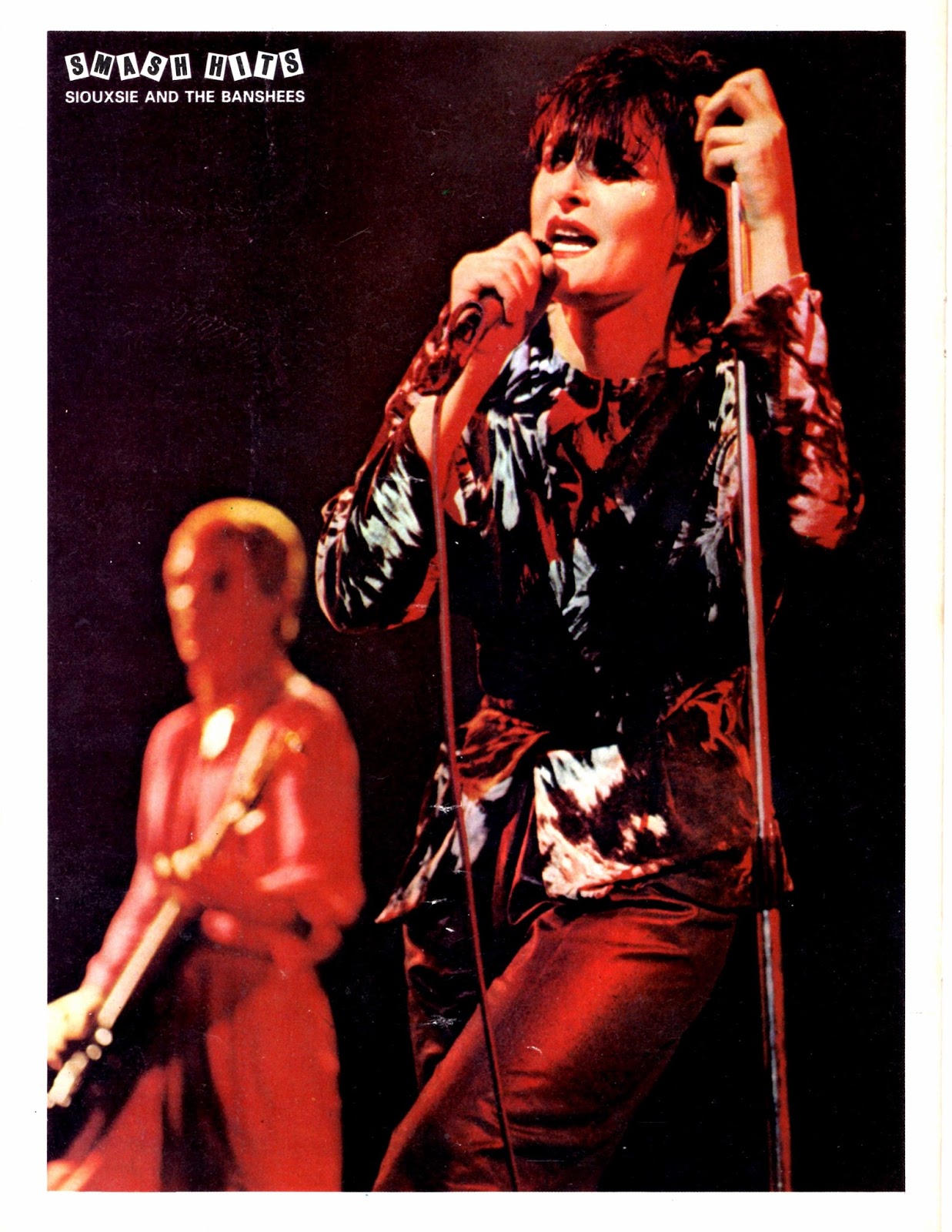 Lansure's Music Paraphernalia: SIOUXSIE & THE BANSHEES | THE CREATURES ...