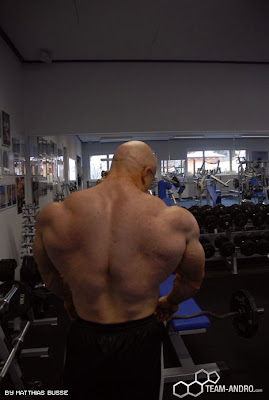 Knights of Bodybuilding: MANUEL BAUER