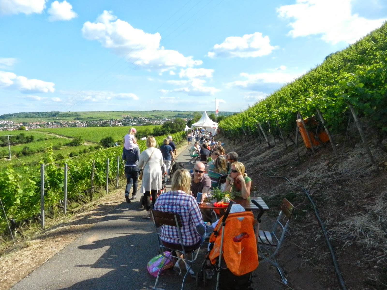 schiller-wine: Tasting the Wines of the Roter Hang (Red Slope ...
