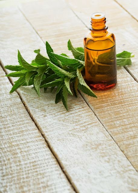 12 Cool Uses for Peppermint