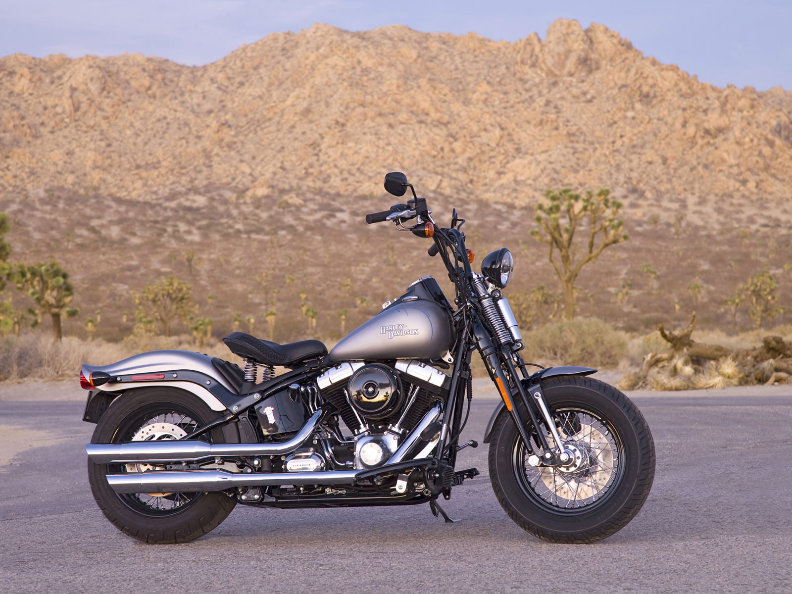 Harley-Davidson pictures. 2008 FLSTB Softail Cross Bones