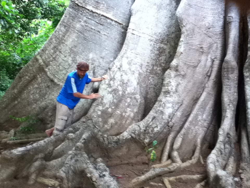 Blogging Without Maps: Cotton From Trees?