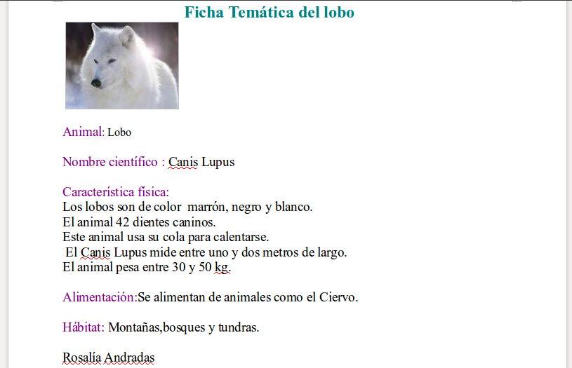 Descubriendo Bichos: Lobos