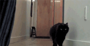Hey, Wait One Second ~ Family Gifs