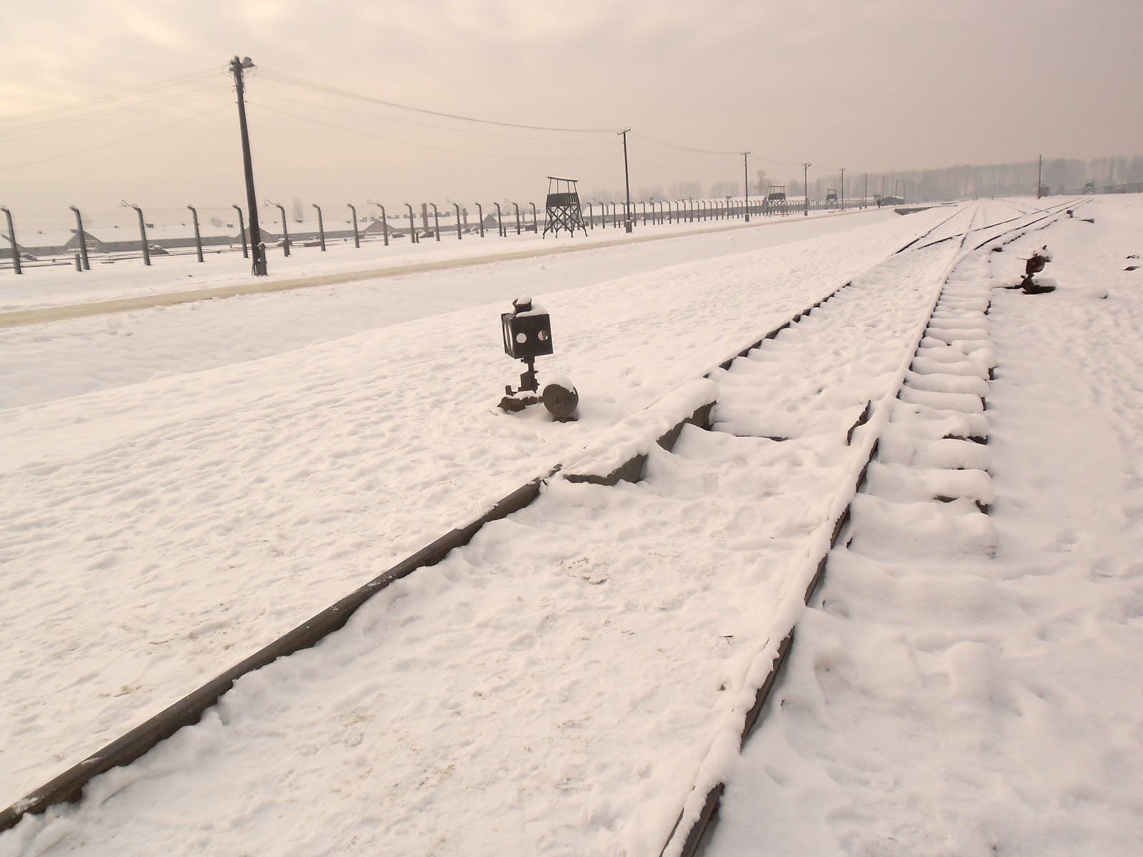 Angelo Cristofanelli: NEI LUOGHI DEL RICORDO - AUSCHWITZ e BIRKENAU